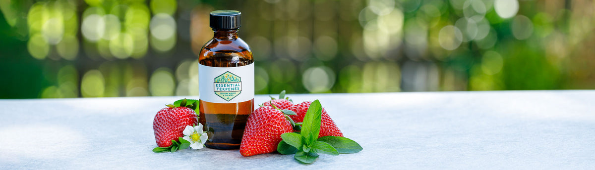 "Ice" Terpene Flavors (Solvent Free) // Extract Consultants