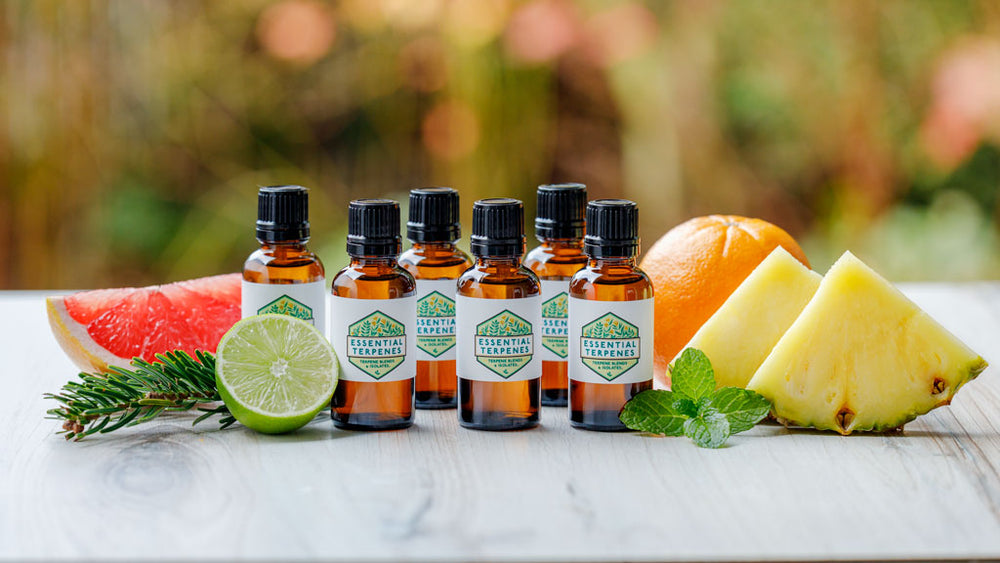 Buy Terpenes Online // The Best Terpenes for Sale: Extract Consultants